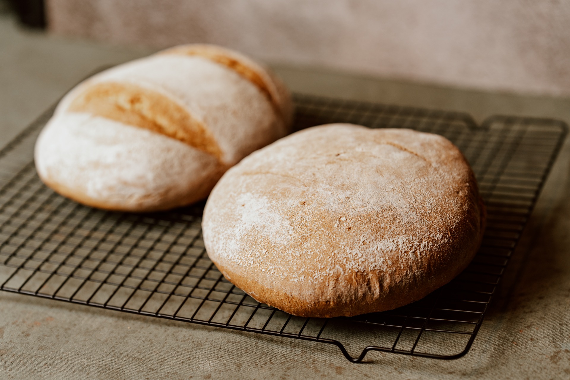 Productos :: Deliciosa